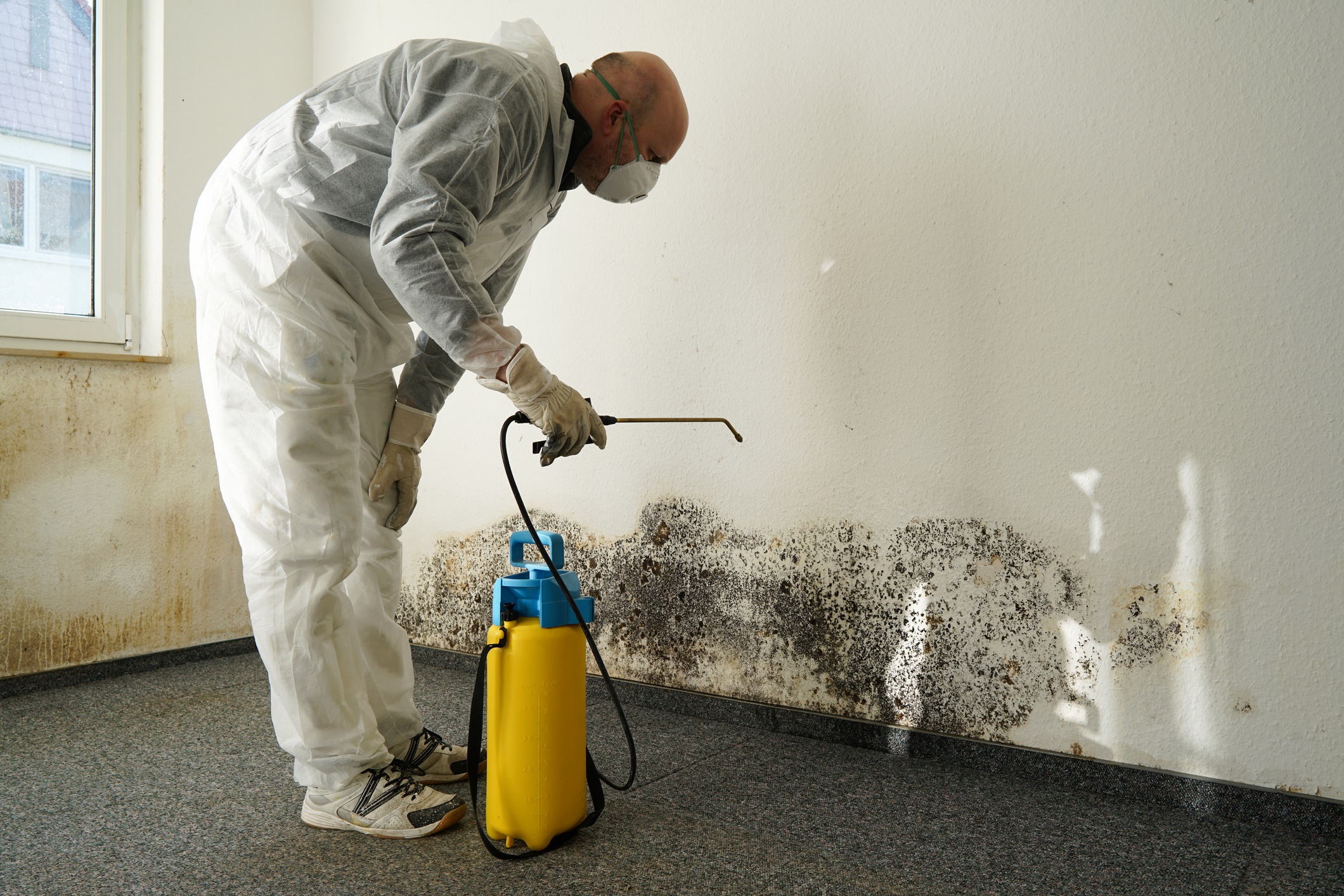Mold Exclusion Does Not bar Coverage for all Claims Alleging Mold – New ...